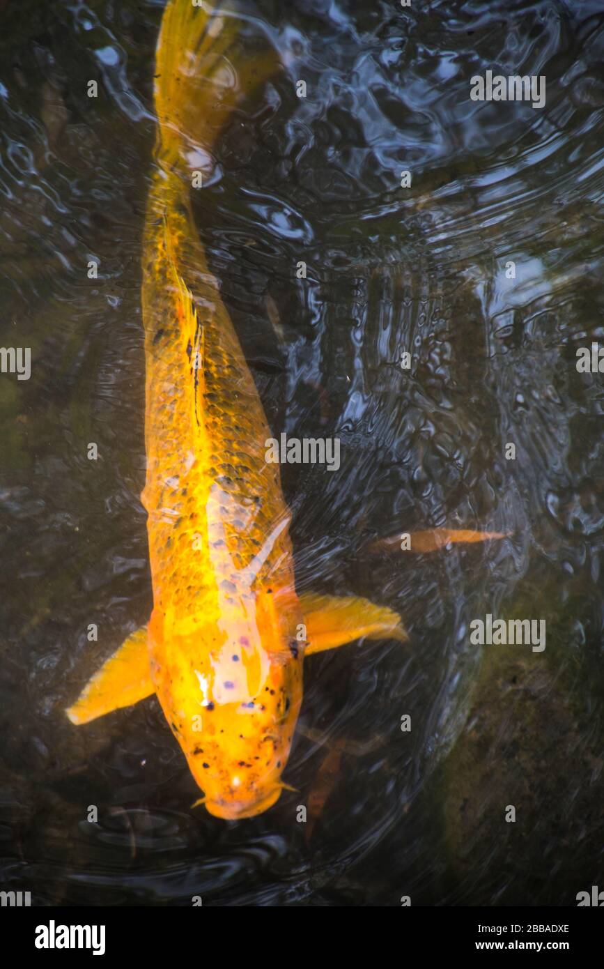 Milwaukee County Zoo Stock Photo - Alamy