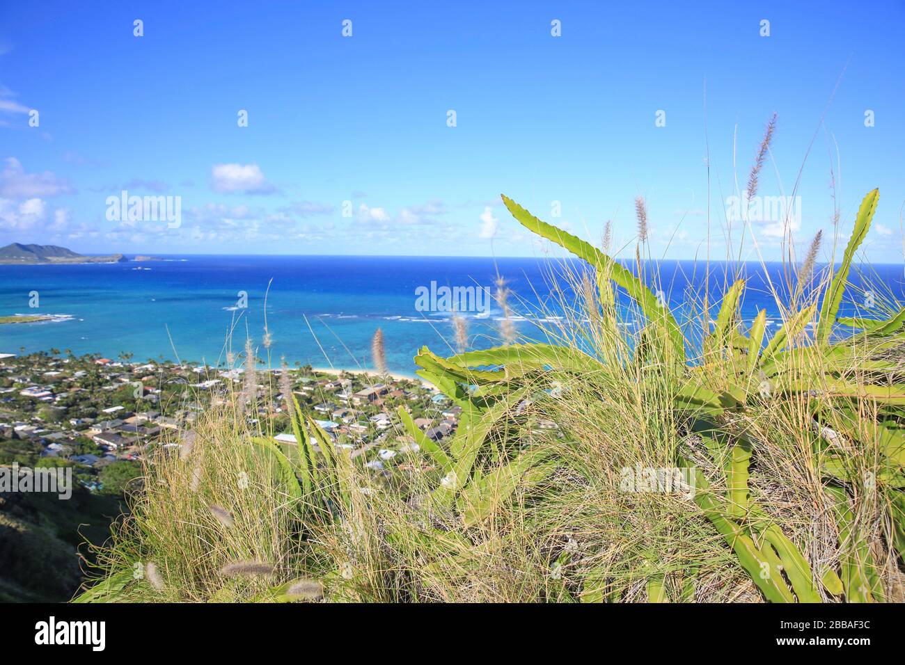 ocean view form the mountain oahu hawaii Stock Photo - Alamy