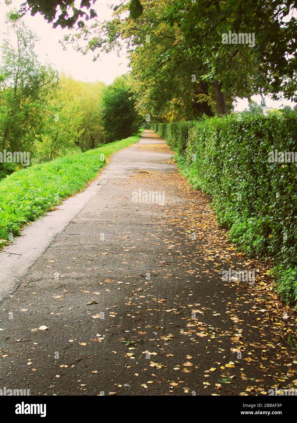 Path to pond hi-res stock photography and images - Alamy