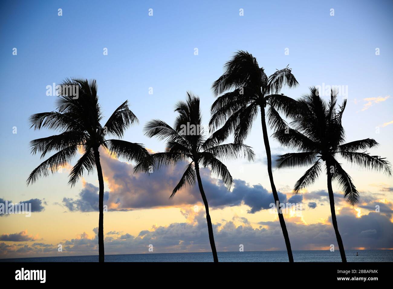 sunset by the sea Oahu Hawaii palm tree Stock Photo - Alamy