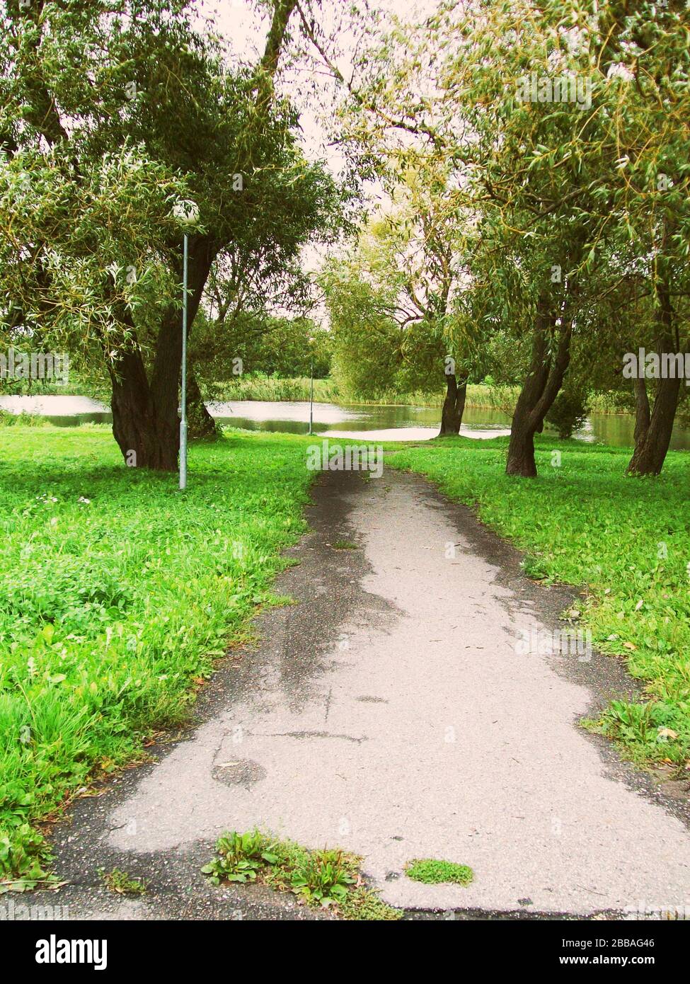 Path to pond hi-res stock photography and images - Alamy