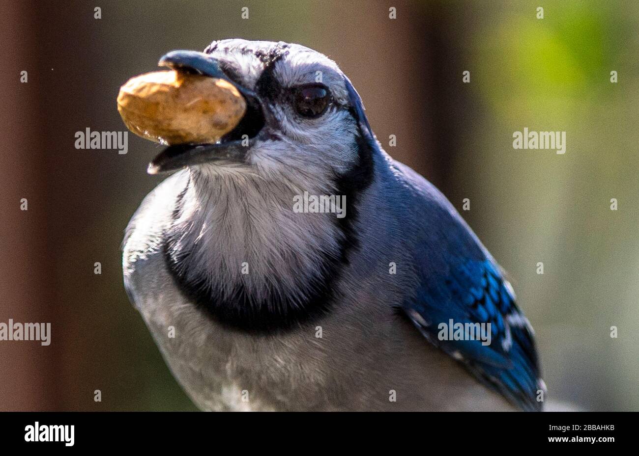 Good grip hi-res stock photography and images - Alamy