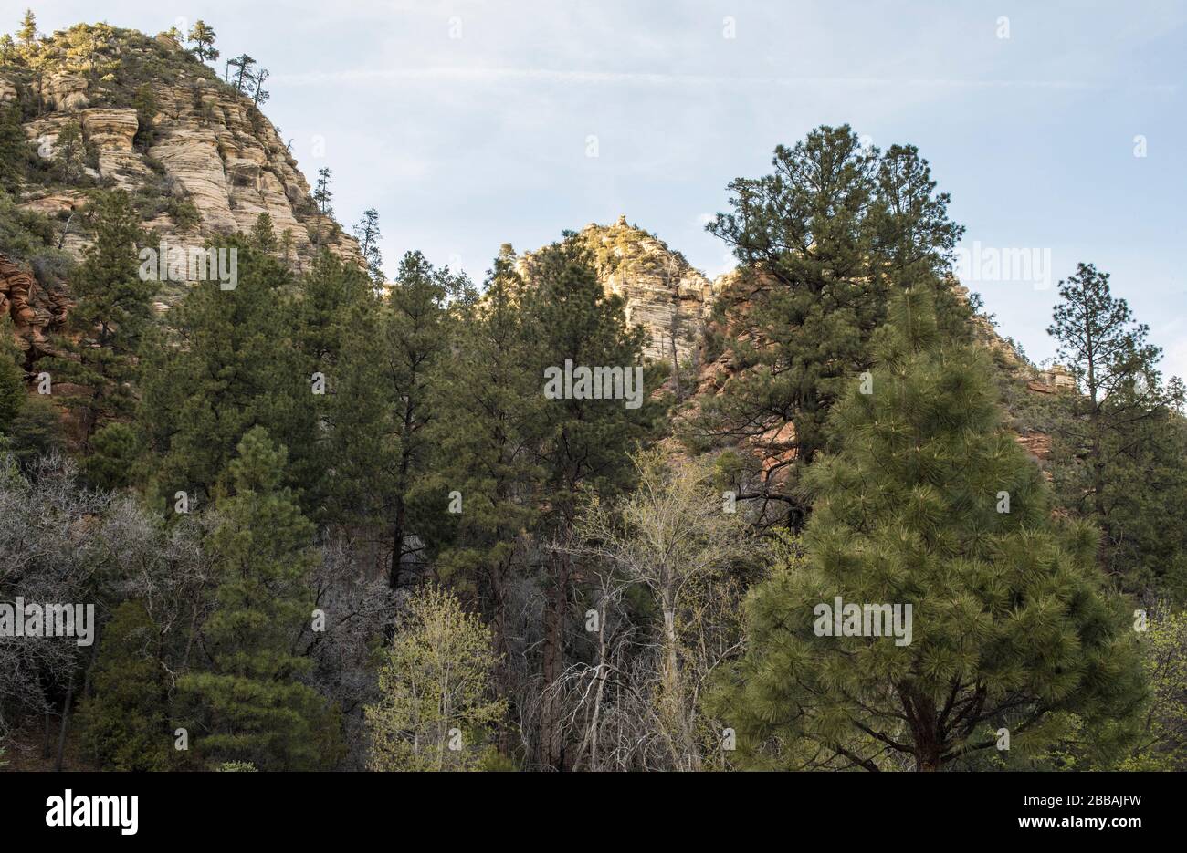 Mogollon rim snow hi-res stock photography and images - Alamy