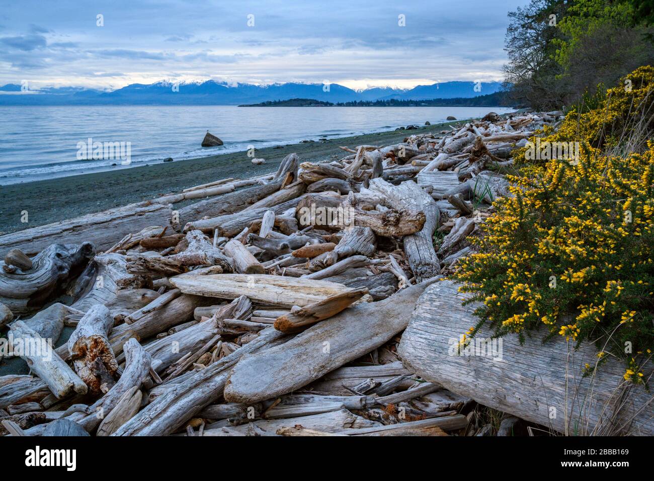 Taylor Beach, Victoria (Metchosin), Vancouver Island, BC, Canada Stock ...