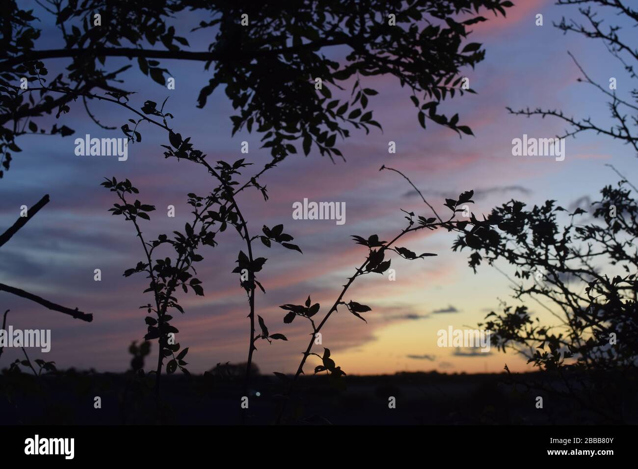 Pink Sky Sunset Stock Photo - Alamy