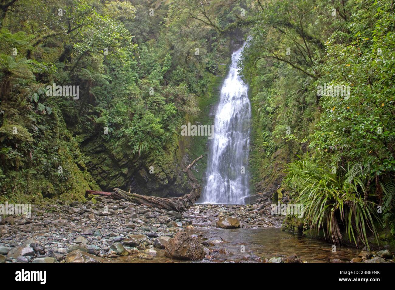 Homer Falls along the Hollyford Track Stock Photo - Alamy