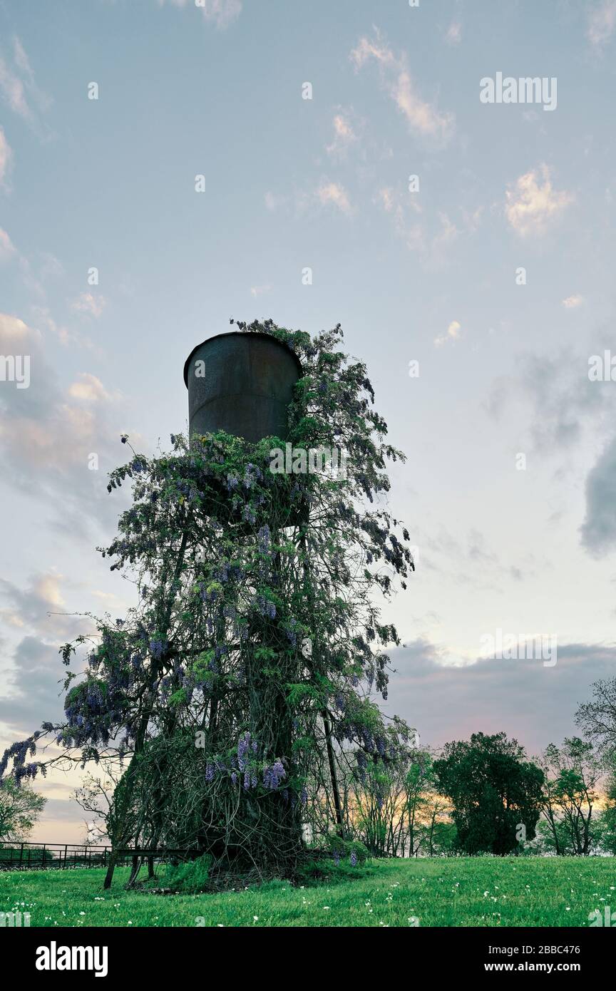 Old rural farmhouse hi-res stock photography and images - Alamy