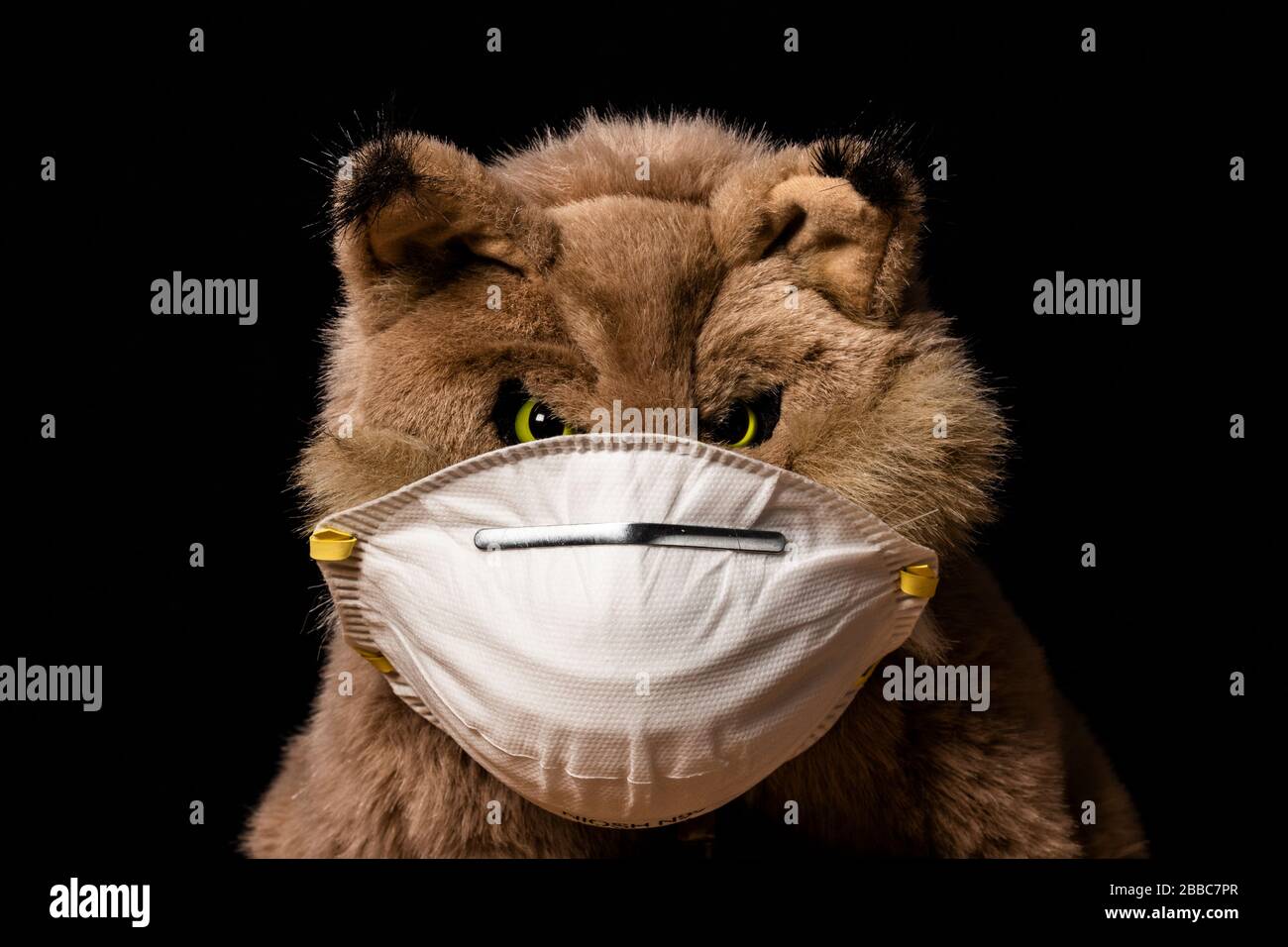 stuffed bobcat toy wearing N95 mask Stock Photo - Alamy
