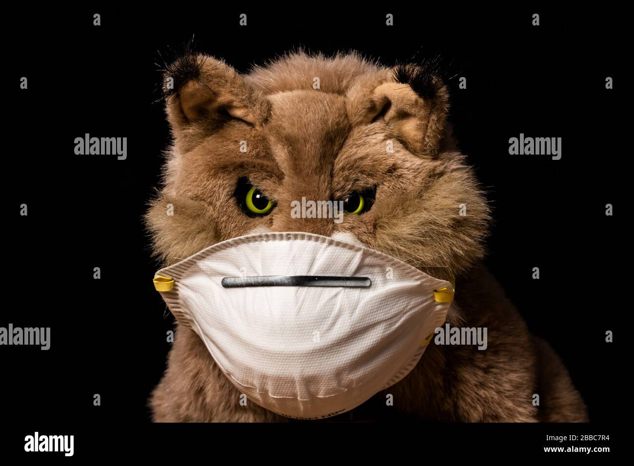 stuffed bobcat toy wearing N95 mask Stock Photo - Alamy