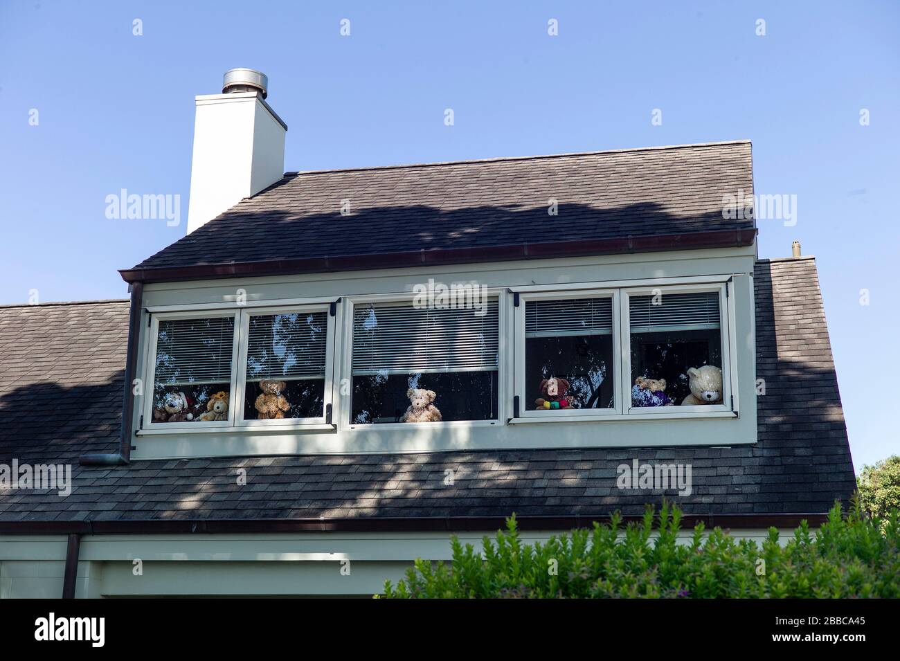 COVID-19 Level 4 lock down in New Zealand. Manly beach north of ...