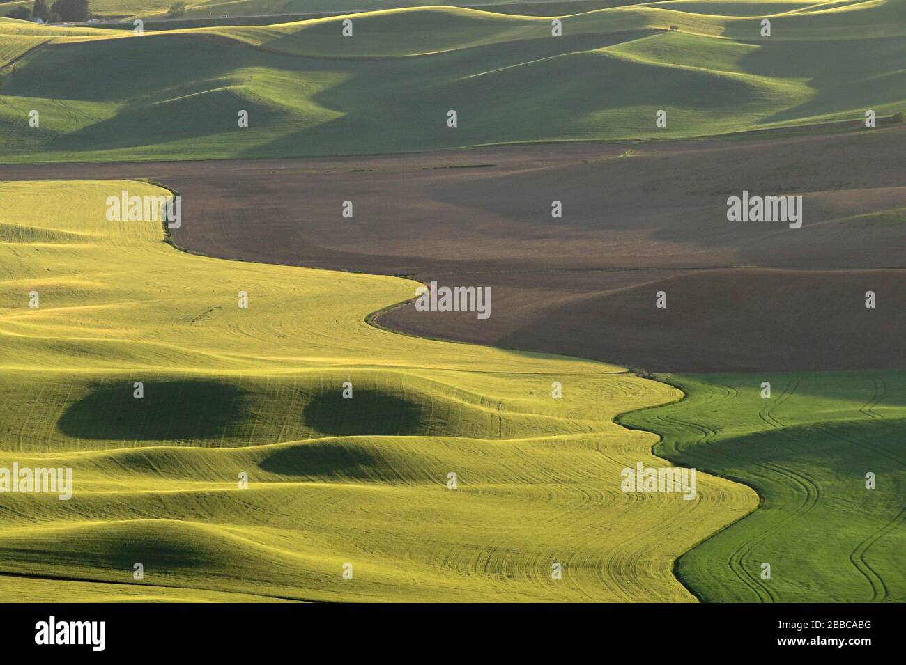 USA, Washington State, Palouse farm land Stock Photo - Alamy
