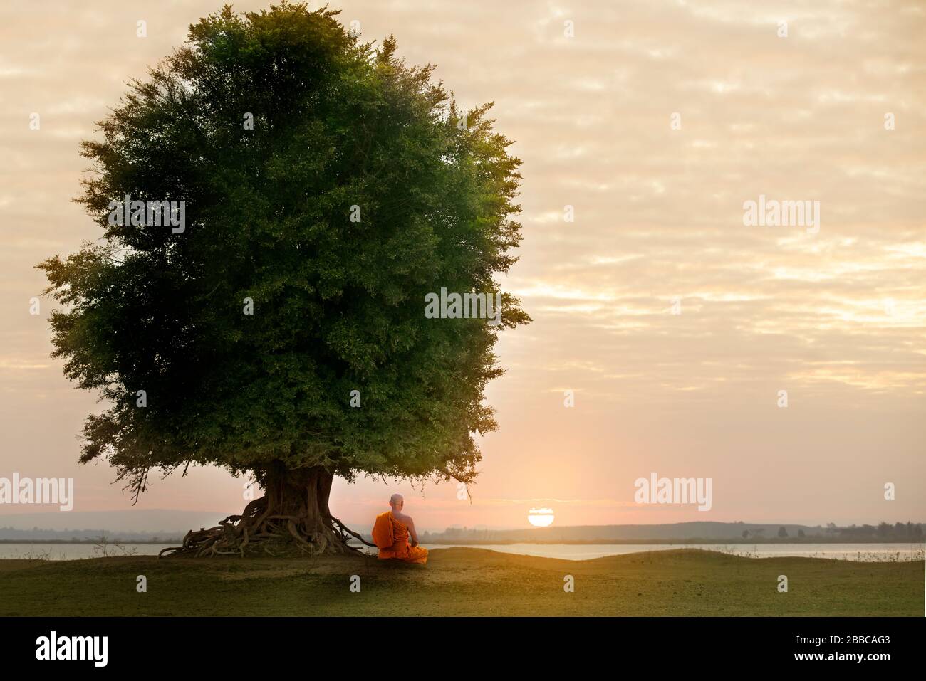 Buddhist monk in meditation under the tree at beautiful sunset or ...