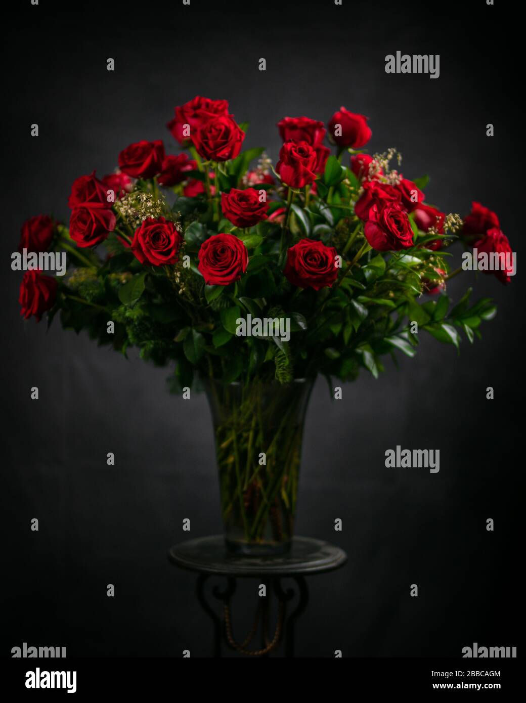 Thorn less rose hi-res stock photography and images - Alamy