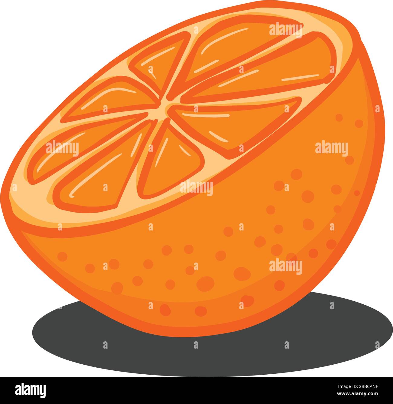 Cartoon hand drawing of orange Stock Vector Image & Art - Alamy