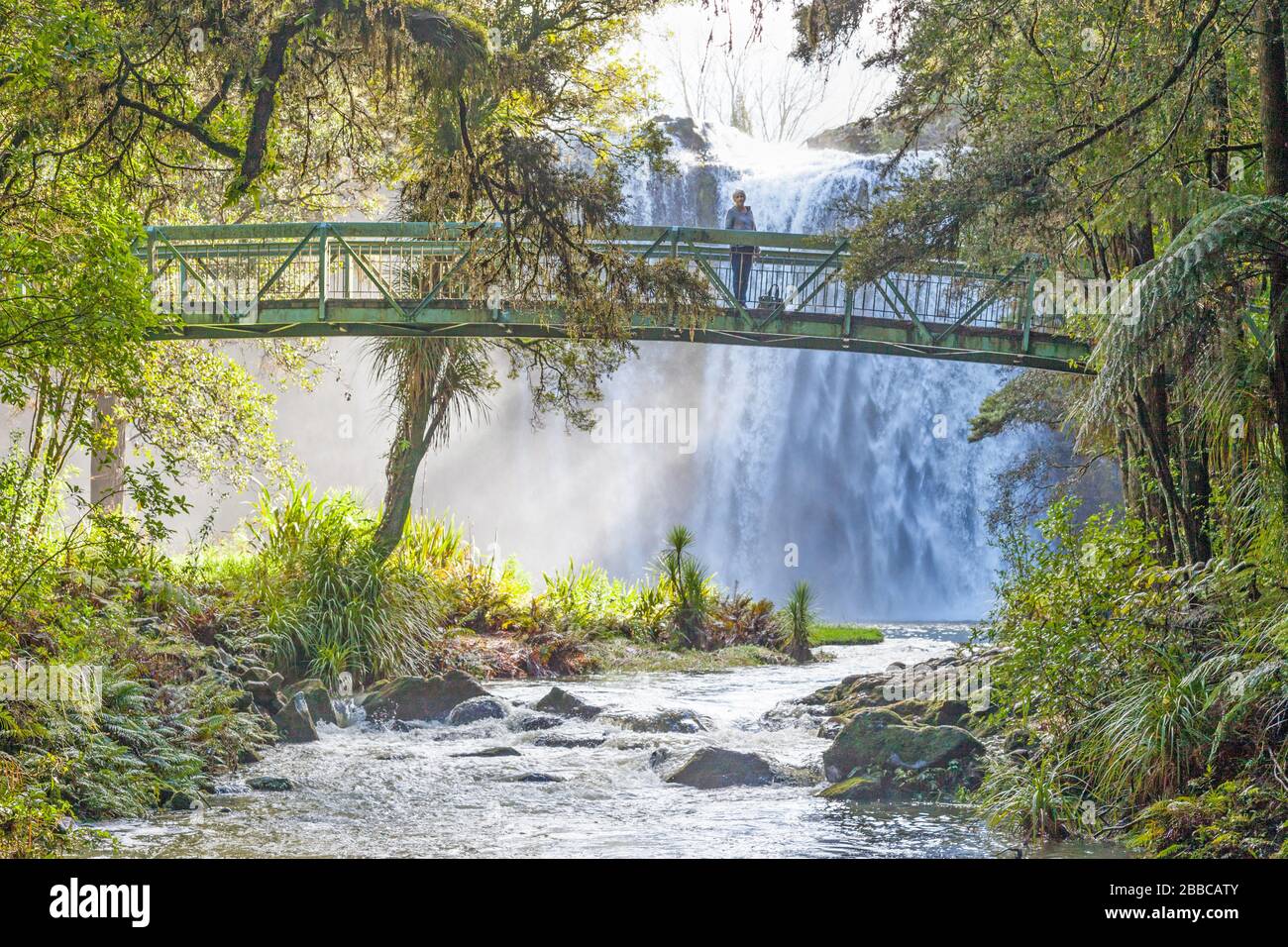 Hatea bridge new zealand hi-res stock photography and images - Alamy