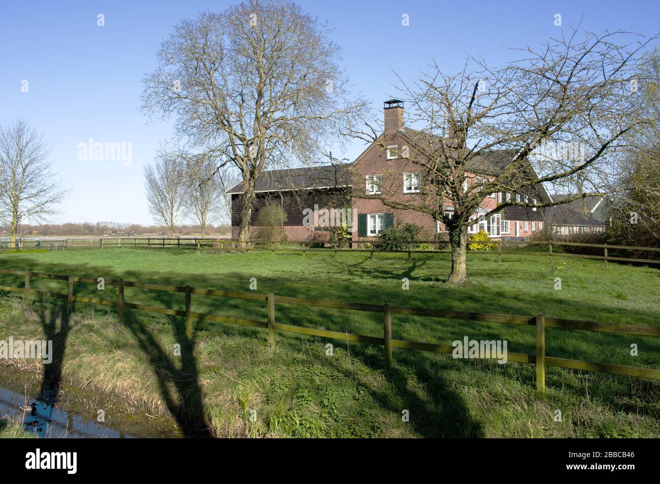Traditional typical dutch farm building with pasture for cattle Stock ...
