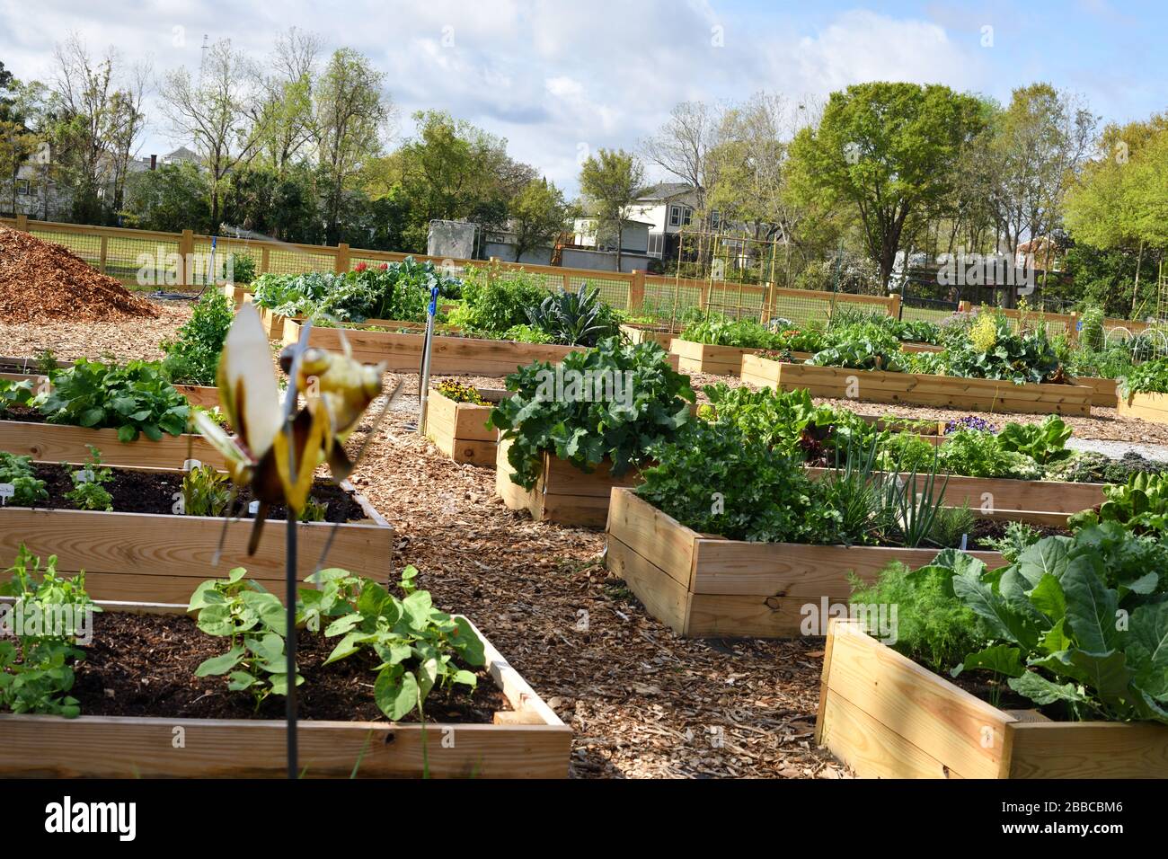 Urban Garden Composed of Individual Wood Border Plots of Soil, Some ...