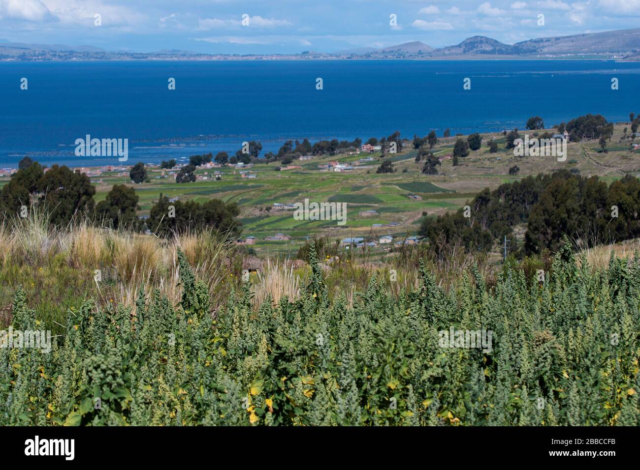 andean plateau scenery Stock Photo - Alamy