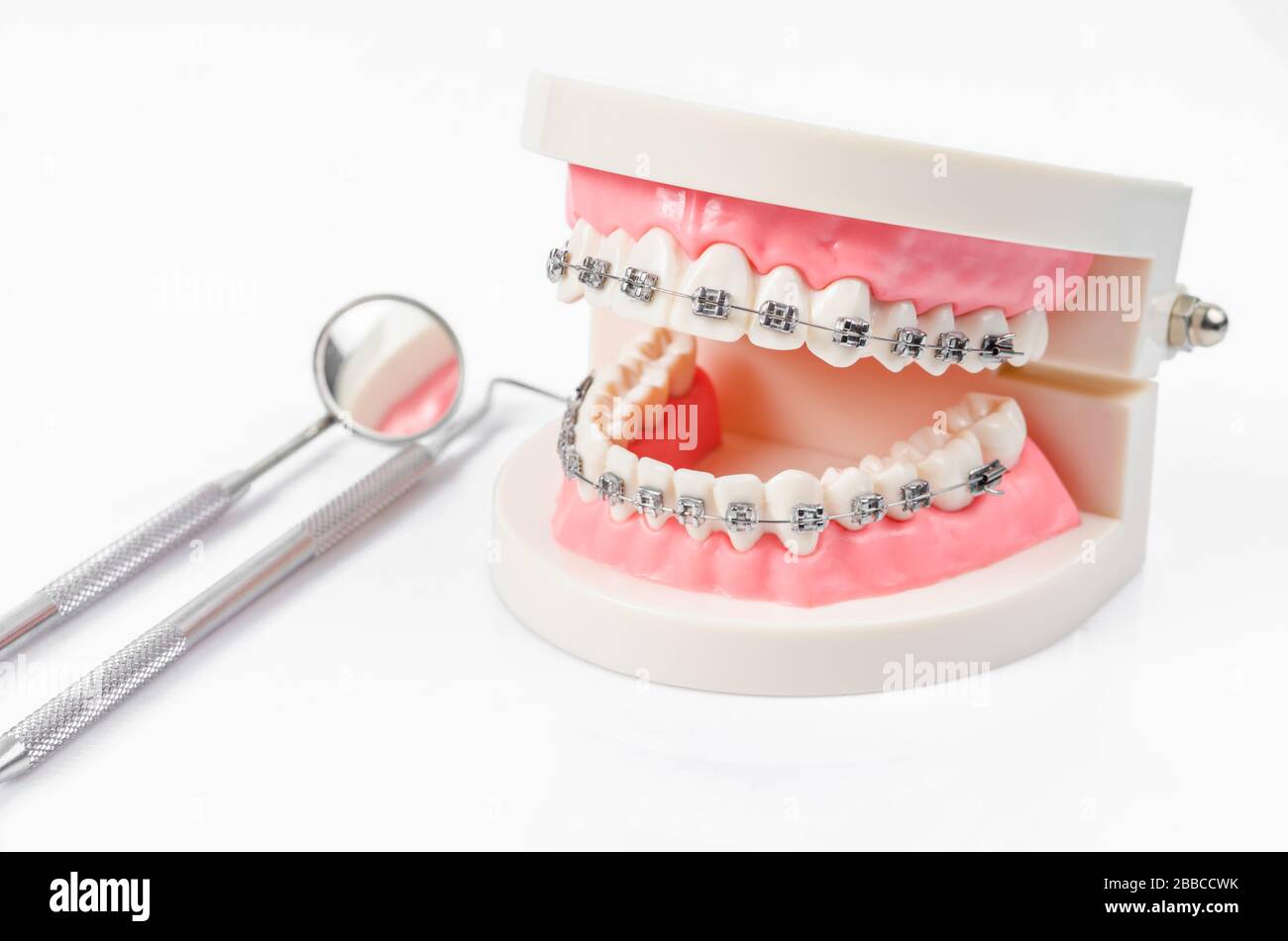 tooth model with metal wire dental braces and mirror dental equipment ...