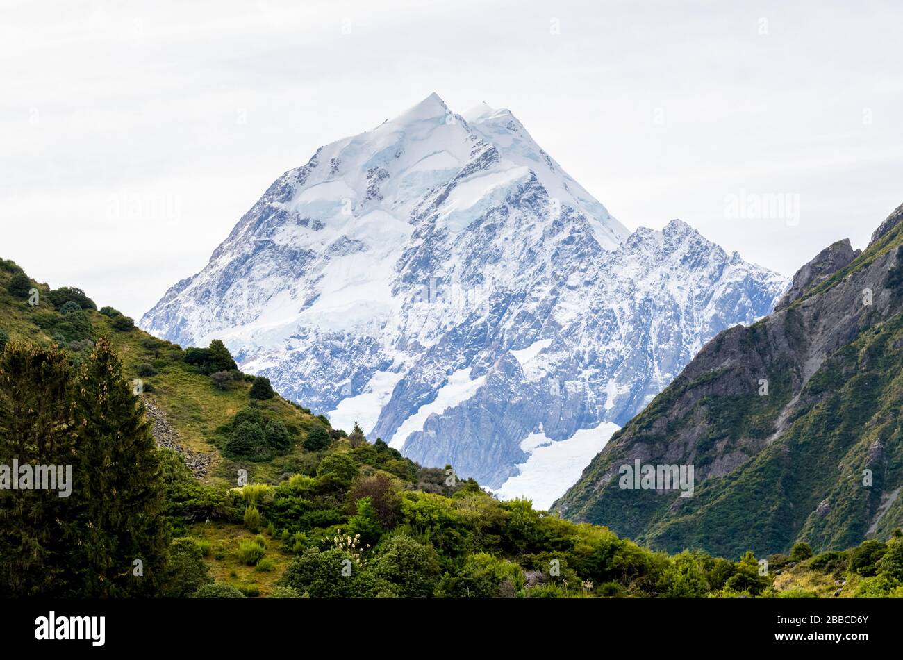 Zoom new zealand hi-res stock photography and images - Alamy