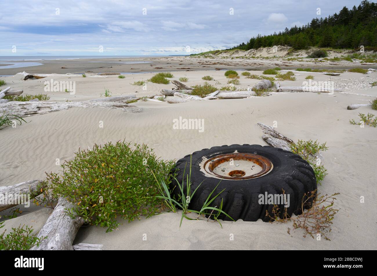 North Beach, Graham Island, Haida Gwaii, Formerly known as Queen ...