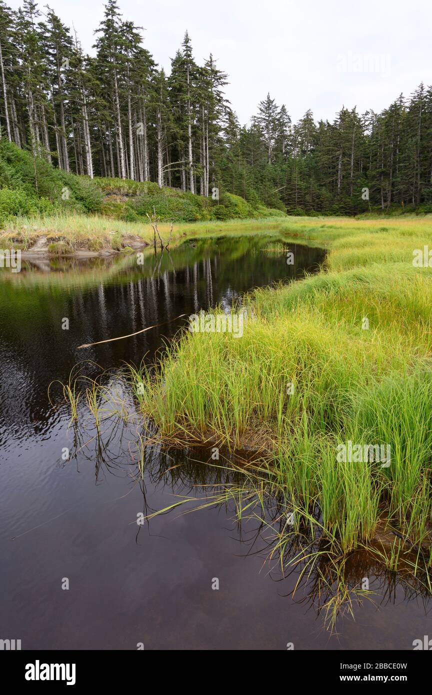 White Creek, North Beach, Graham Island, Haida Gwaii, Formerly known as ...