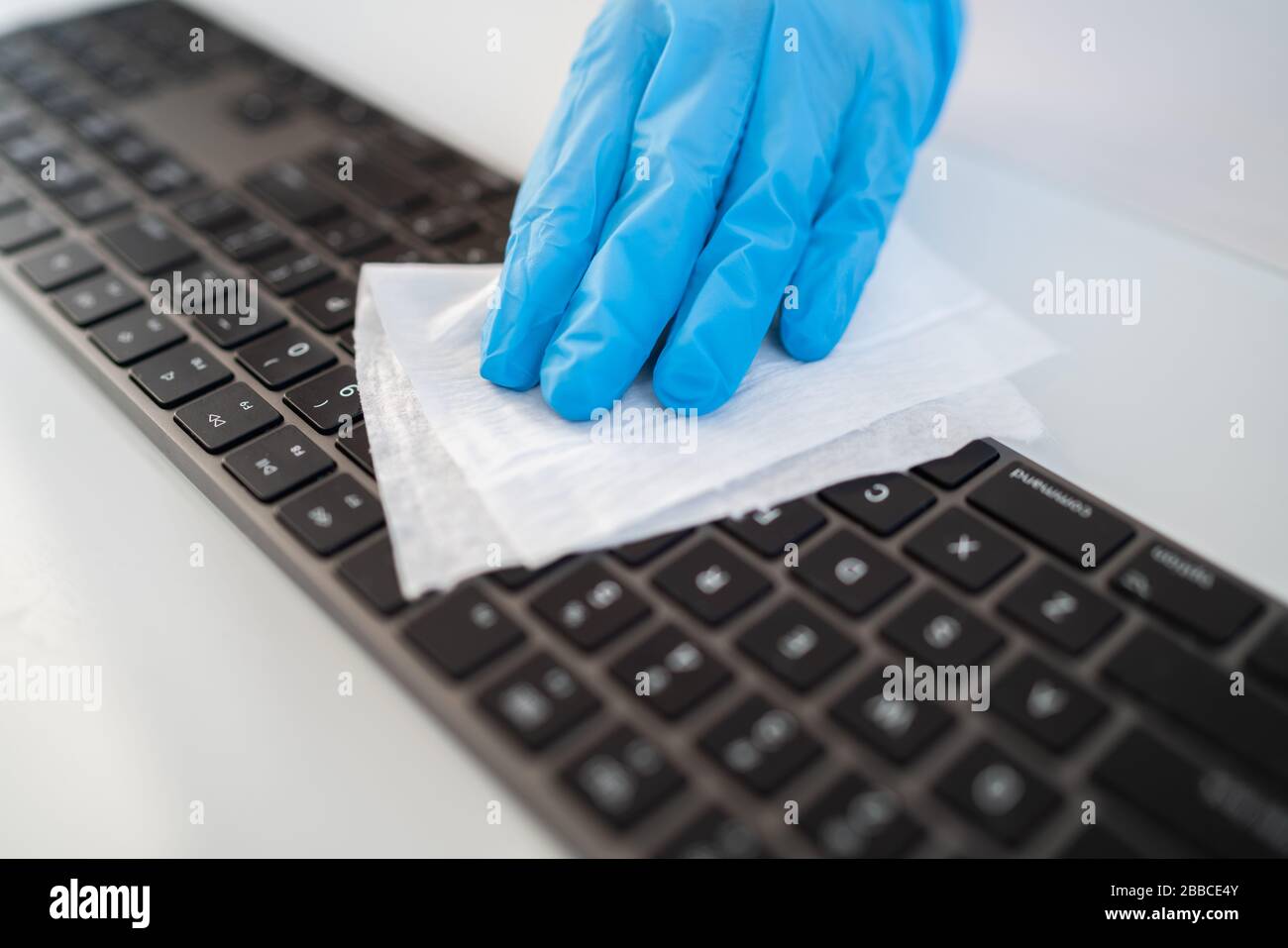 Mouse Washing High Resolution Stock Photography and Images - Alamy