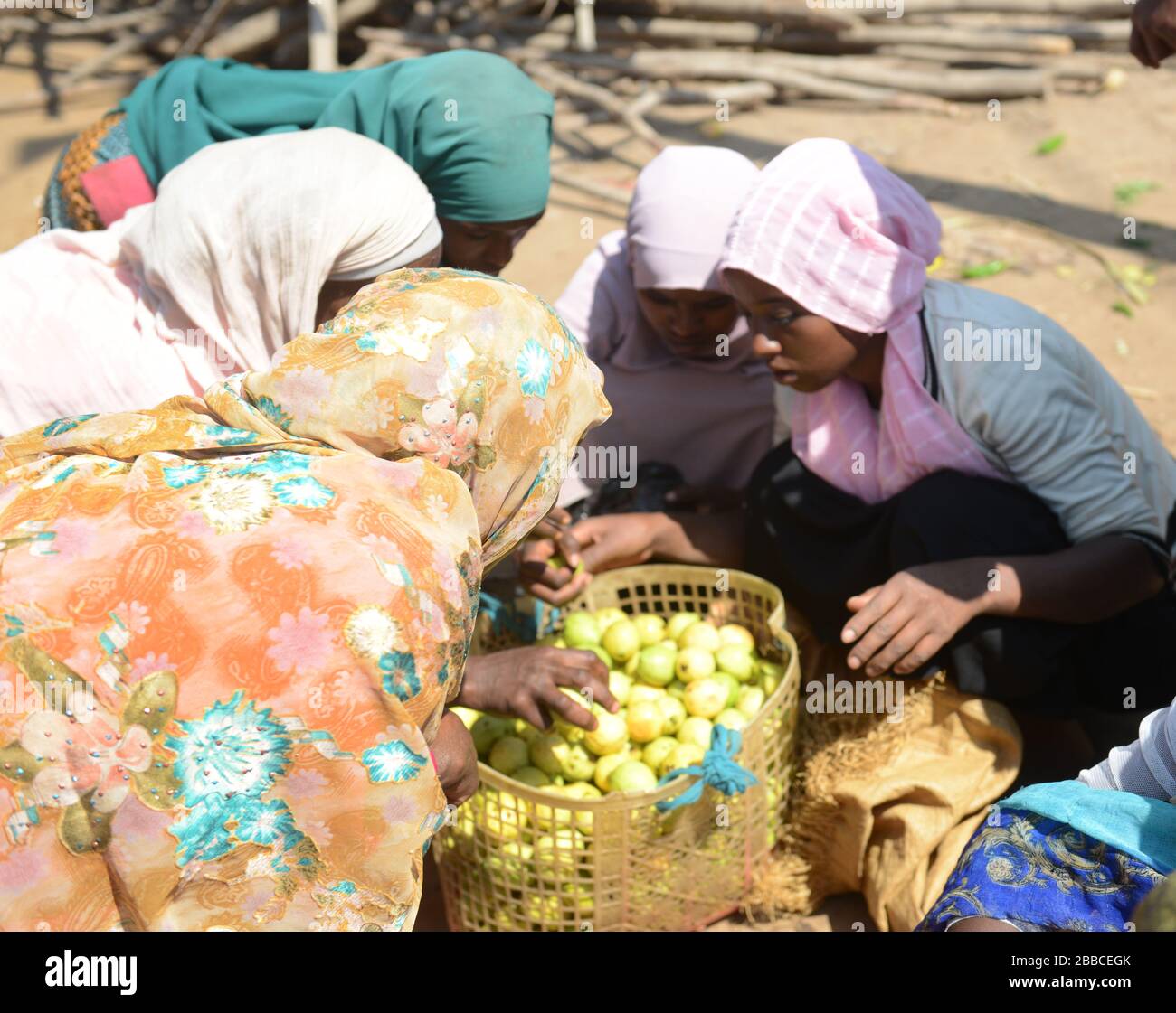 Ethiopian women in the market in Jimma, Ethiopia Stock Photo - Alamy