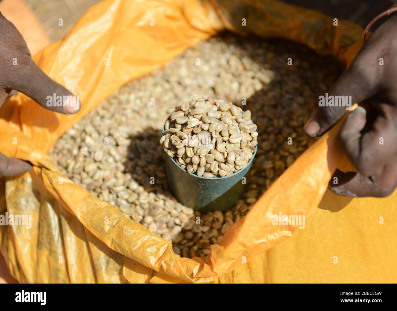 Jimma coffee hi-res stock photography and images - Alamy