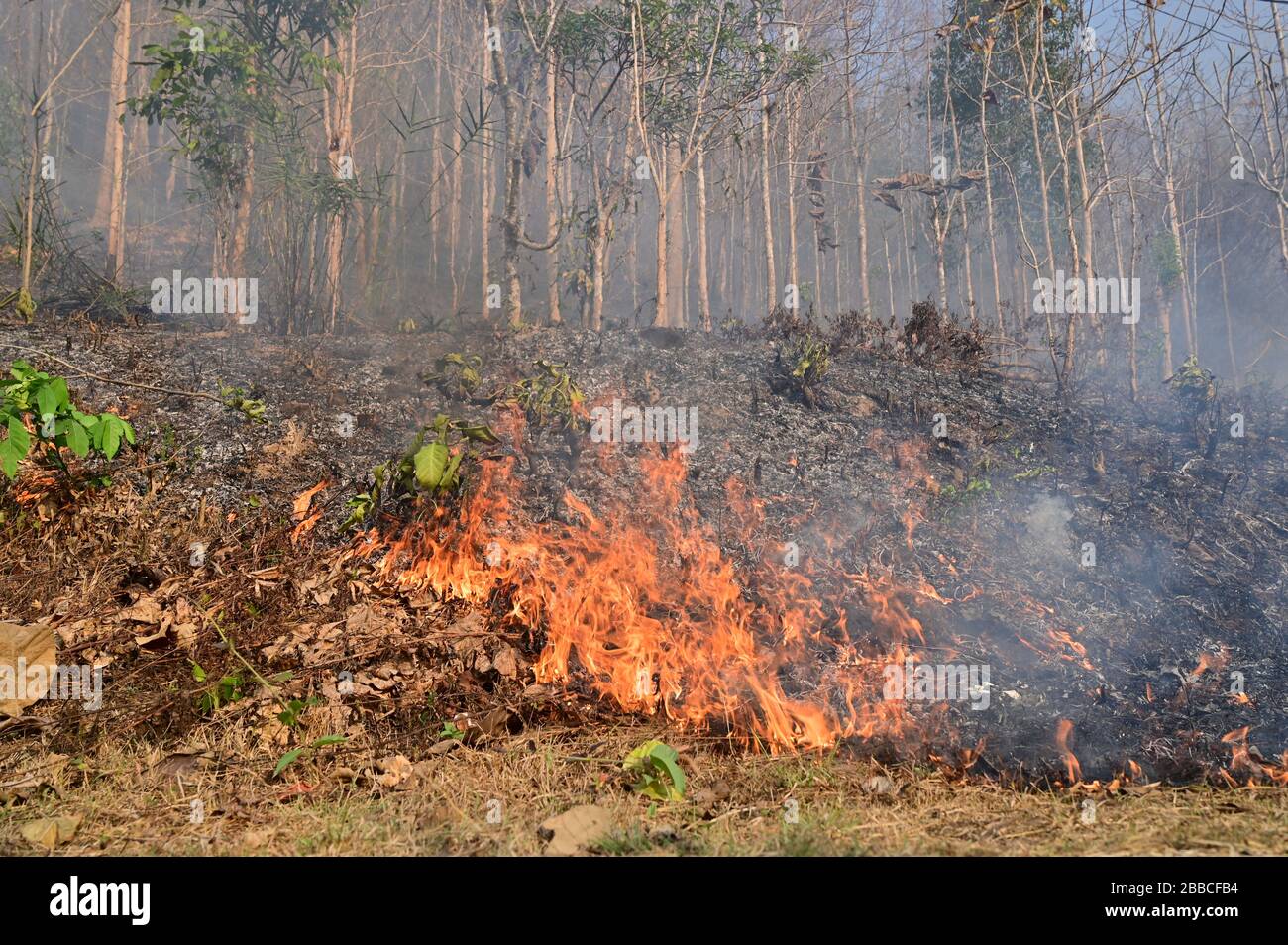 Roadside fire damage hi-res stock photography and images - Alamy