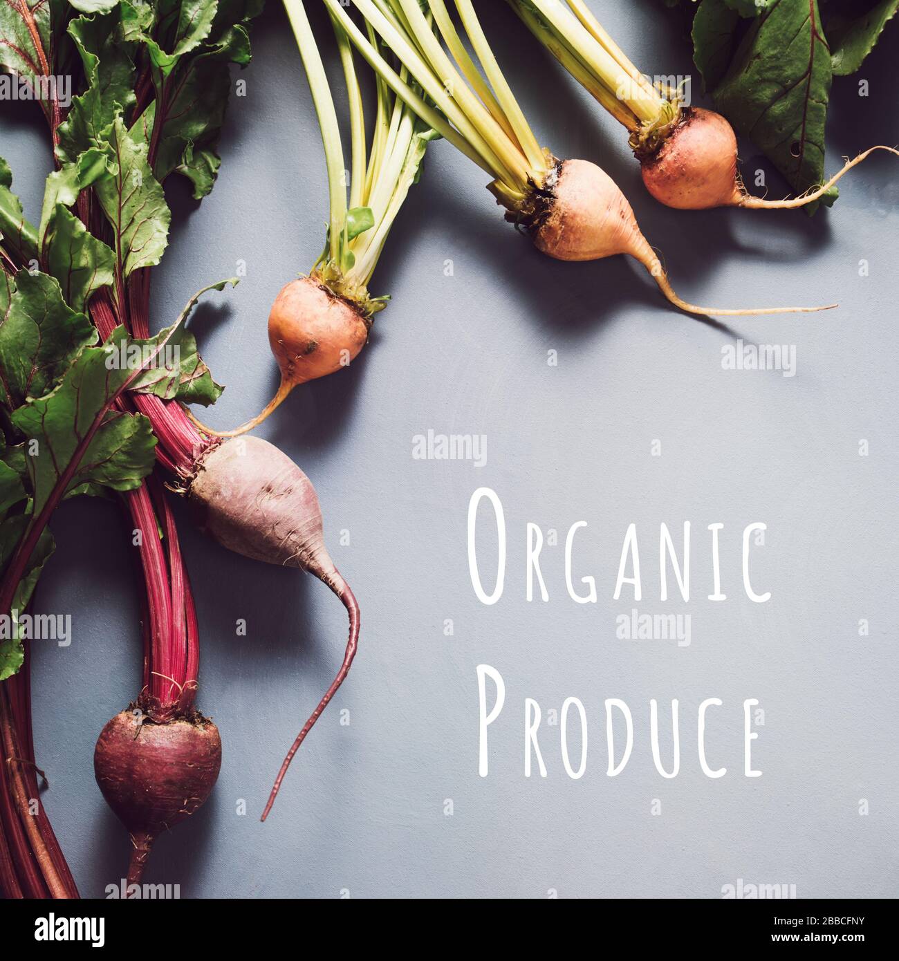 Mix of red and gold beets on grey background with Organic Produce ...
