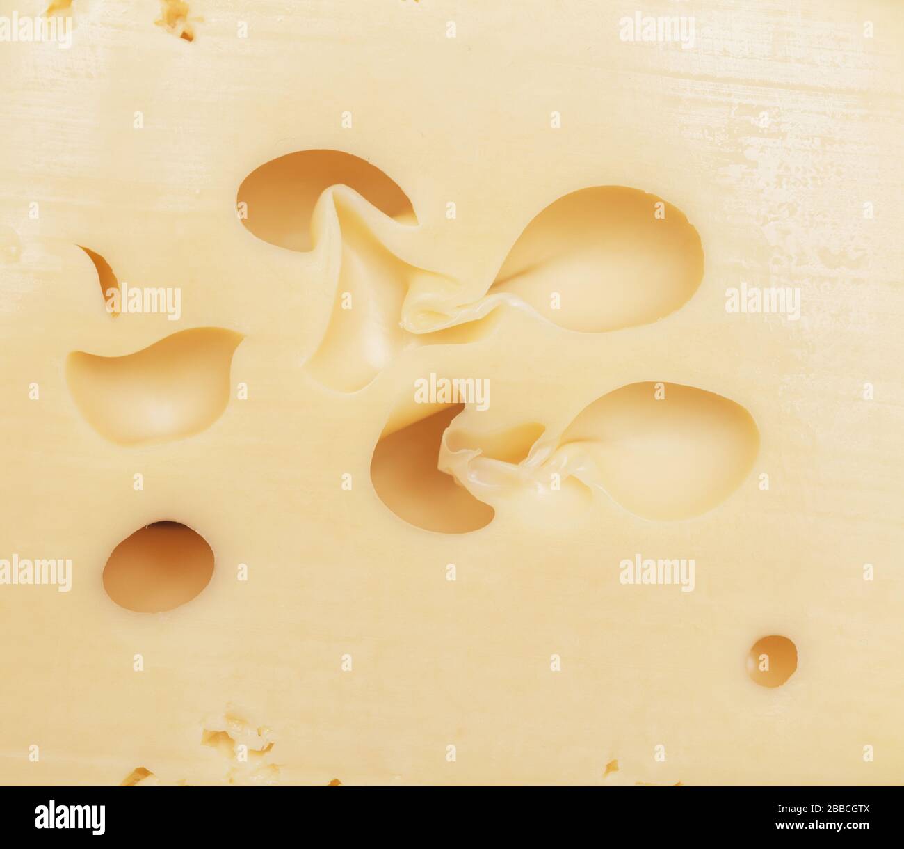 Fresh cheese background Stock Photo - Alamy