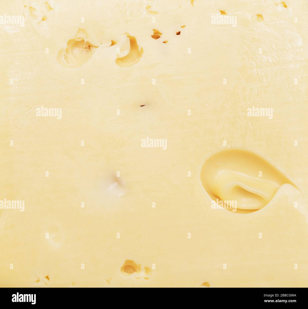 Fresh cheese background Stock Photo - Alamy