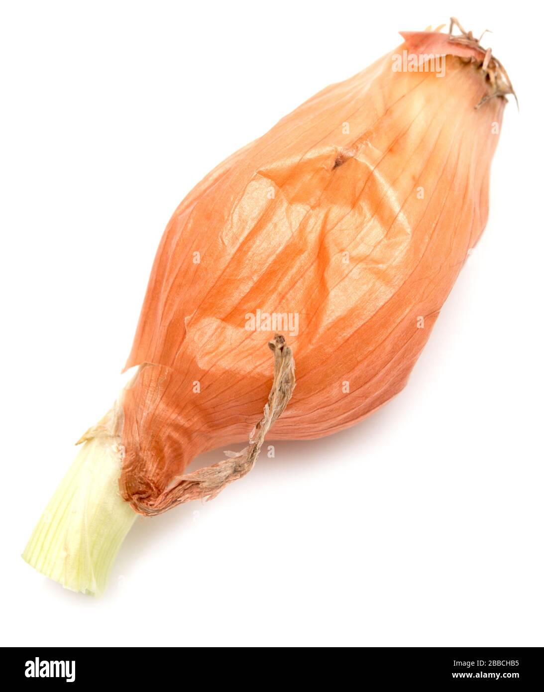 Onion isolated on white background Stock Photo - Alamy