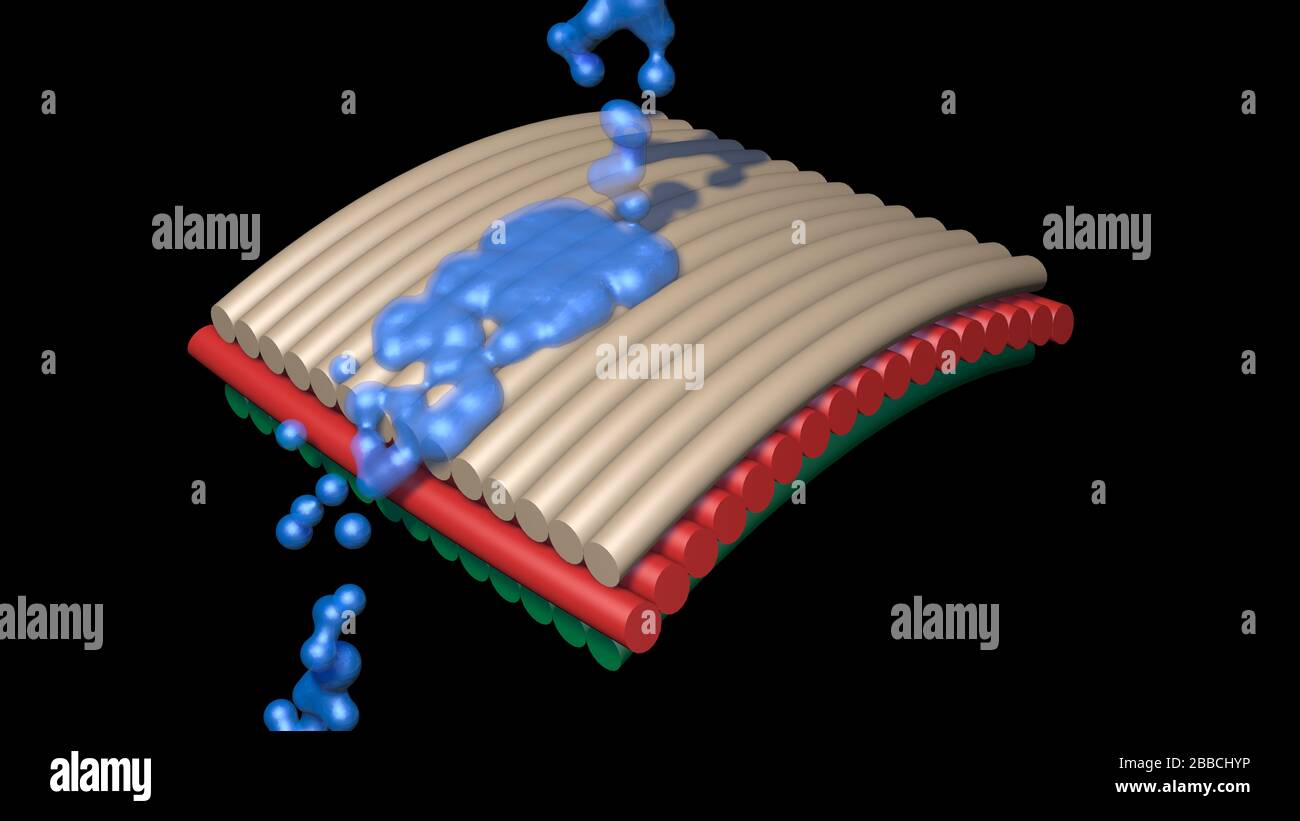 Nanomaterials water hi-res stock photography and images - Alamy