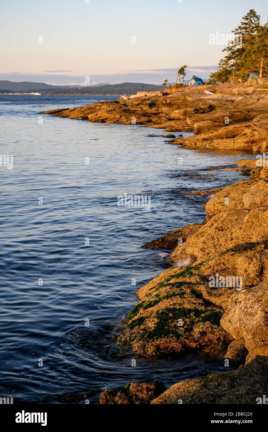 Ruckle Provincial Park, Salt Spring Island, BC, Canada Stock Photo - Alamy