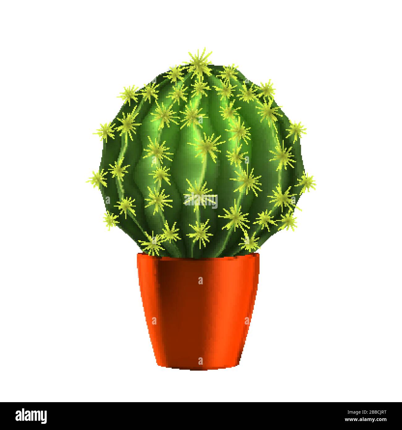 Cactus Succulent Planted In Orange Pot Vector Stock Vector Image & Art ...
