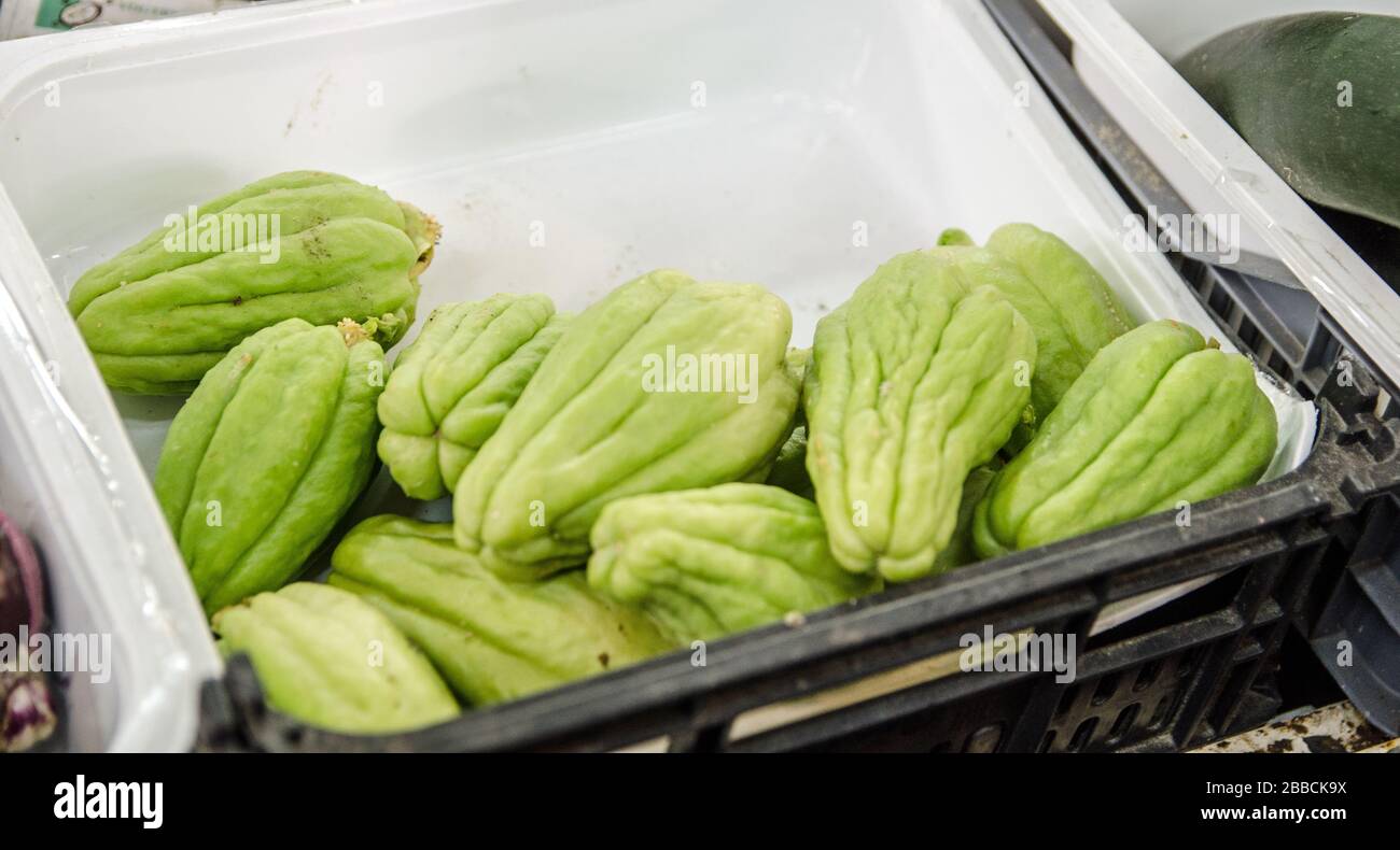 The vegetable known in Portugal as Chuchu and in Latin America as ...