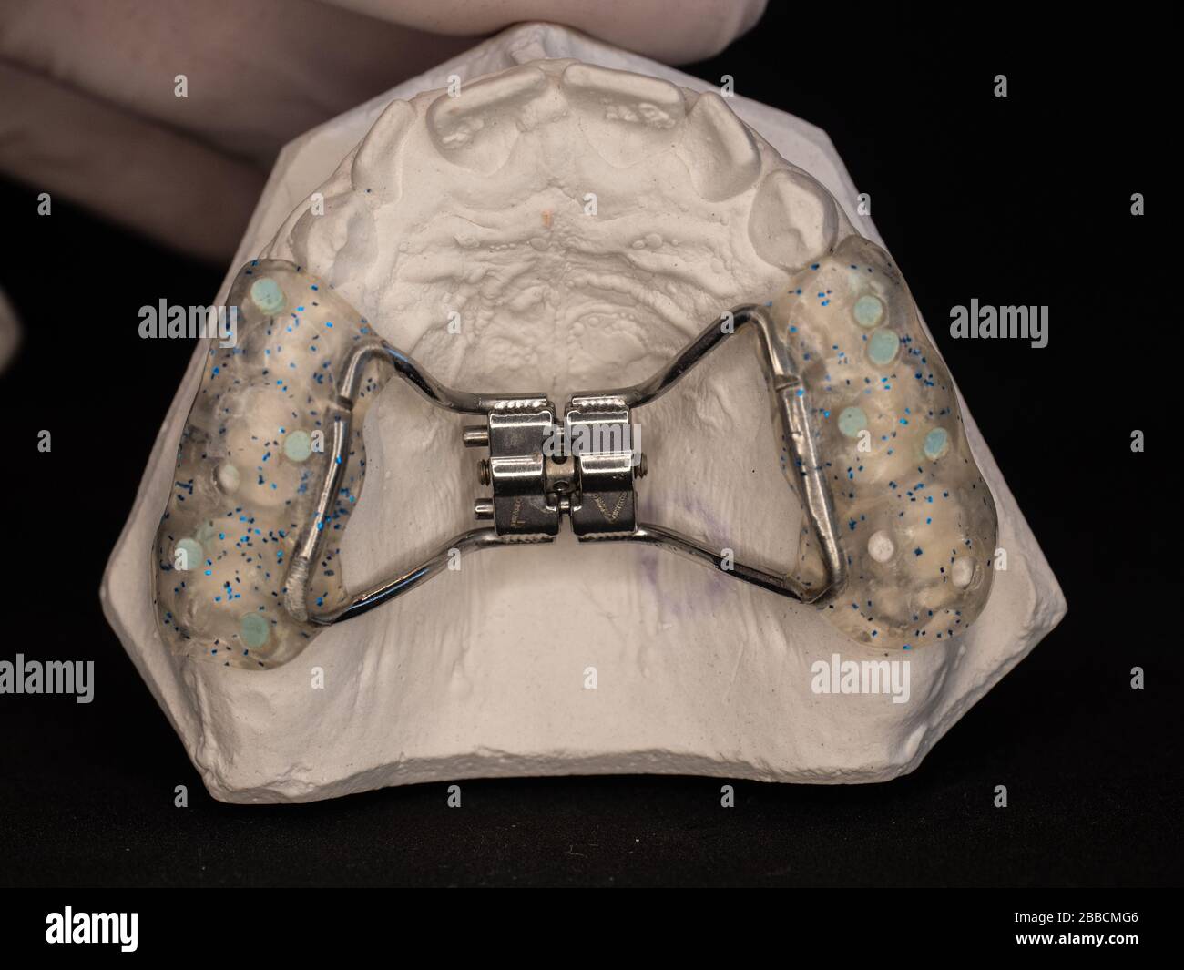 Hyrax braces hi-res stock photography and images - Alamy