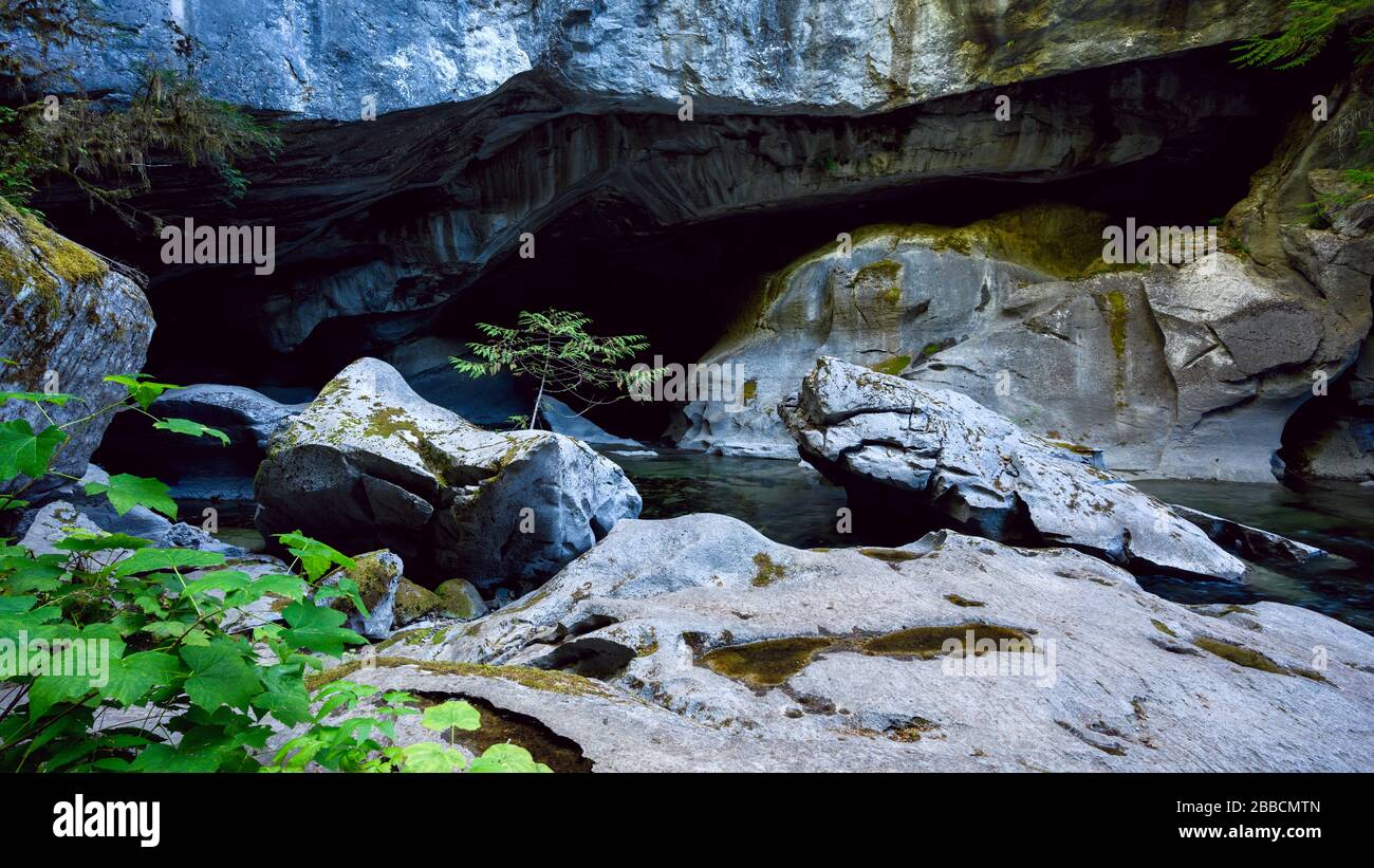 Little Huson Caves Regional Park, Vancouver Island, BC, Canada Stock ...