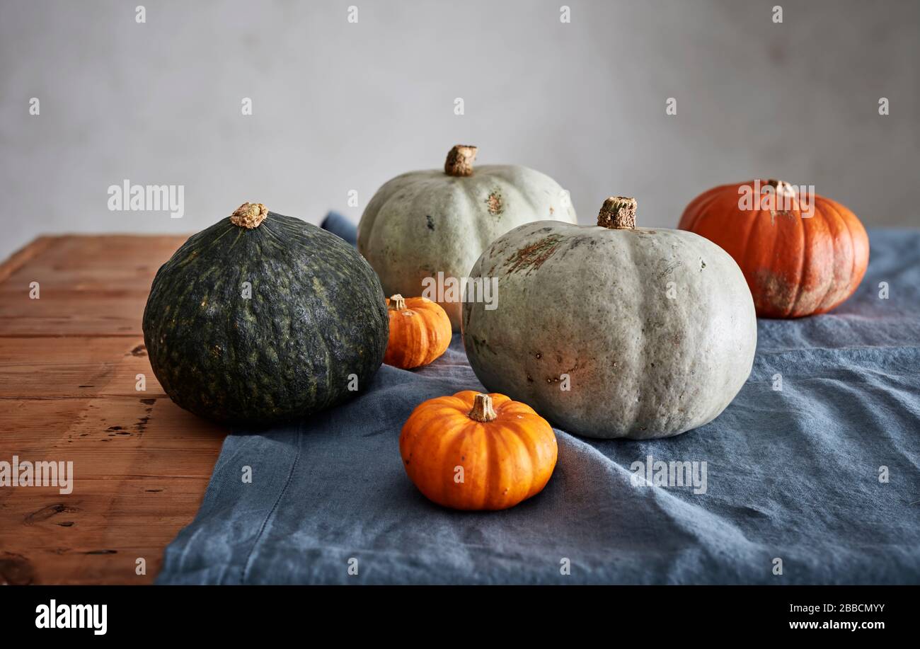 selection pumpkins table rustic sizes Stock Photo - Alamy