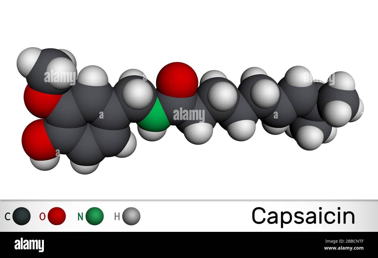 Capsaicin, alkaloid, C18H27NO3 molecule. It is chili pepper extract ...