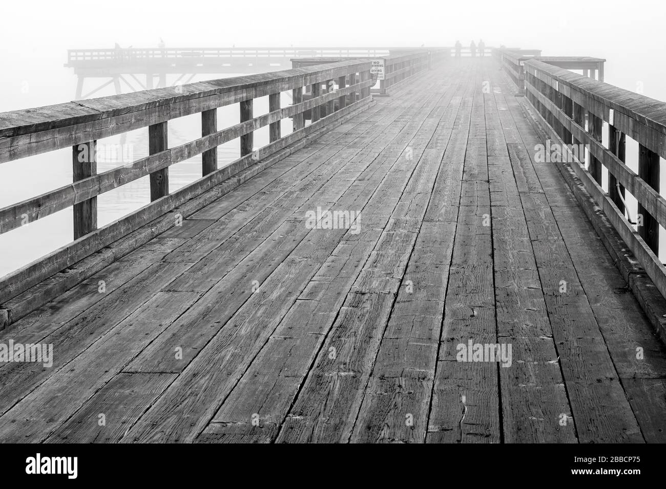Sidney fish market hi-res stock photography and images - Alamy