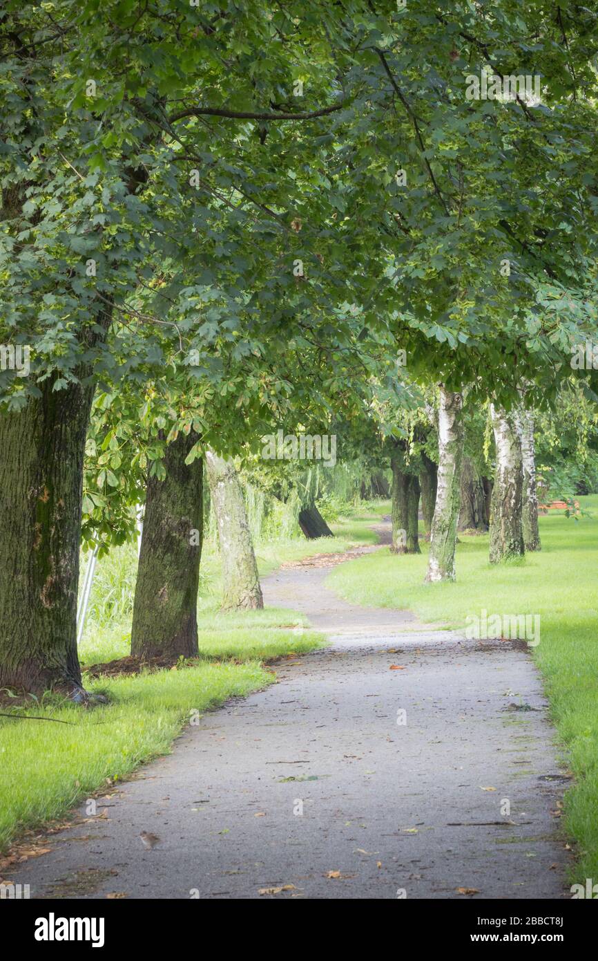 Shady road in countryside hi-res stock photography and images - Alamy