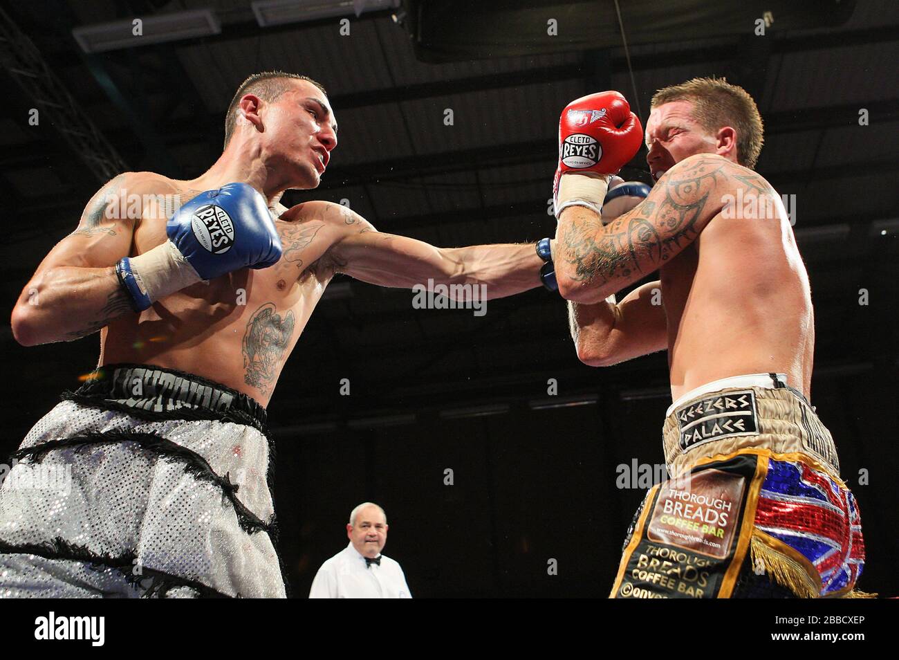 Lee noble boxing hi-res stock photography and images - Alamy