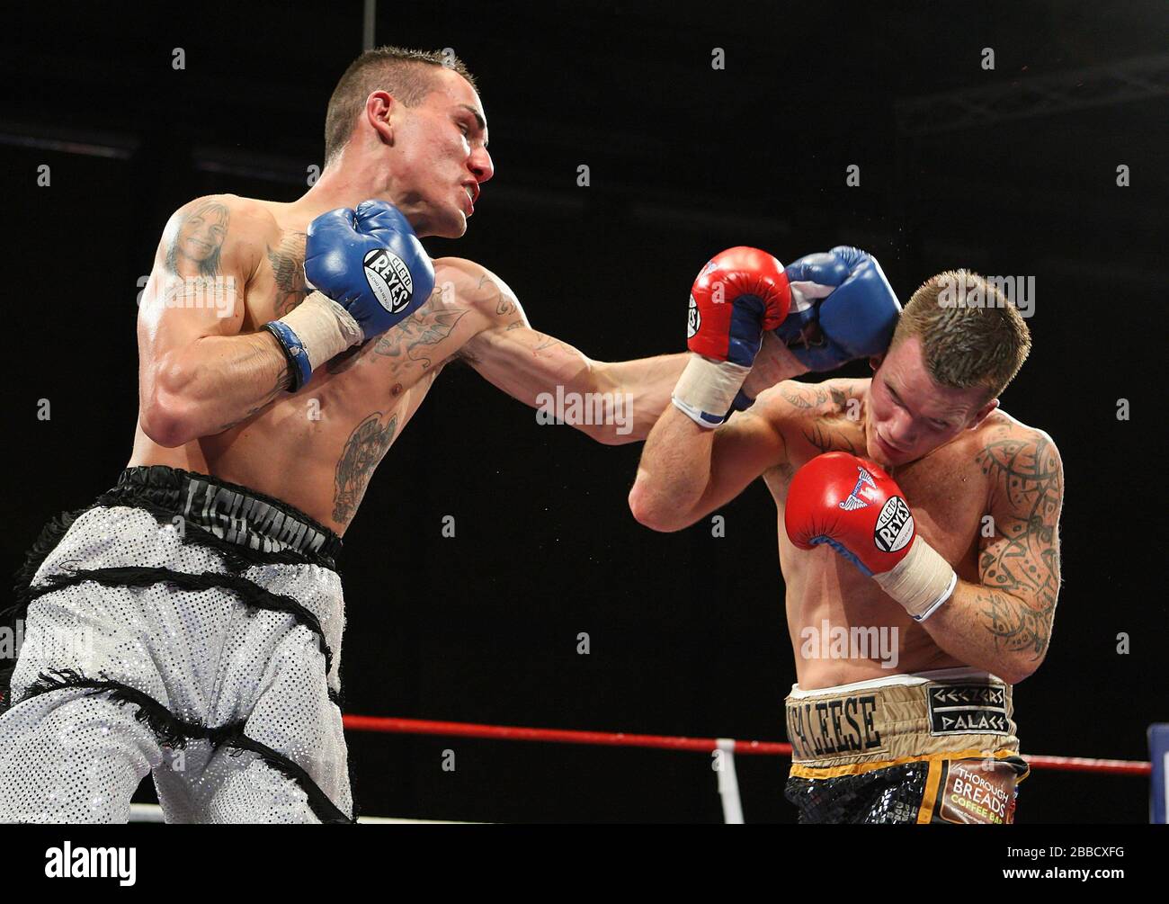 Lee noble boxing hi-res stock photography and images - Alamy