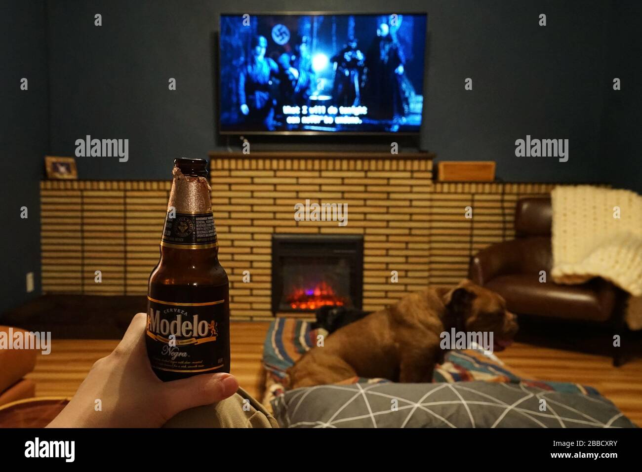 Hand holding beer bottle in the bedroom with dog lying on the couch ...