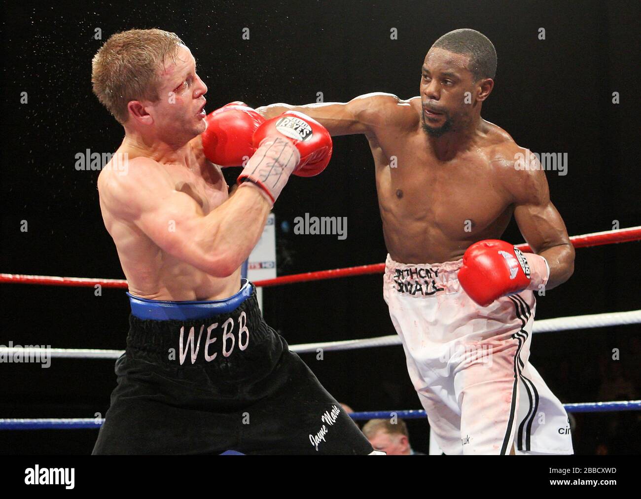 Sam Webb (black shorts) defeats Anthony Small in a boxing contest for ...