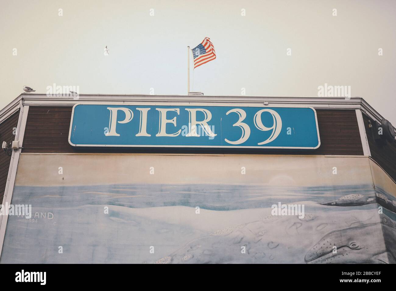 Pier 39 Logo
