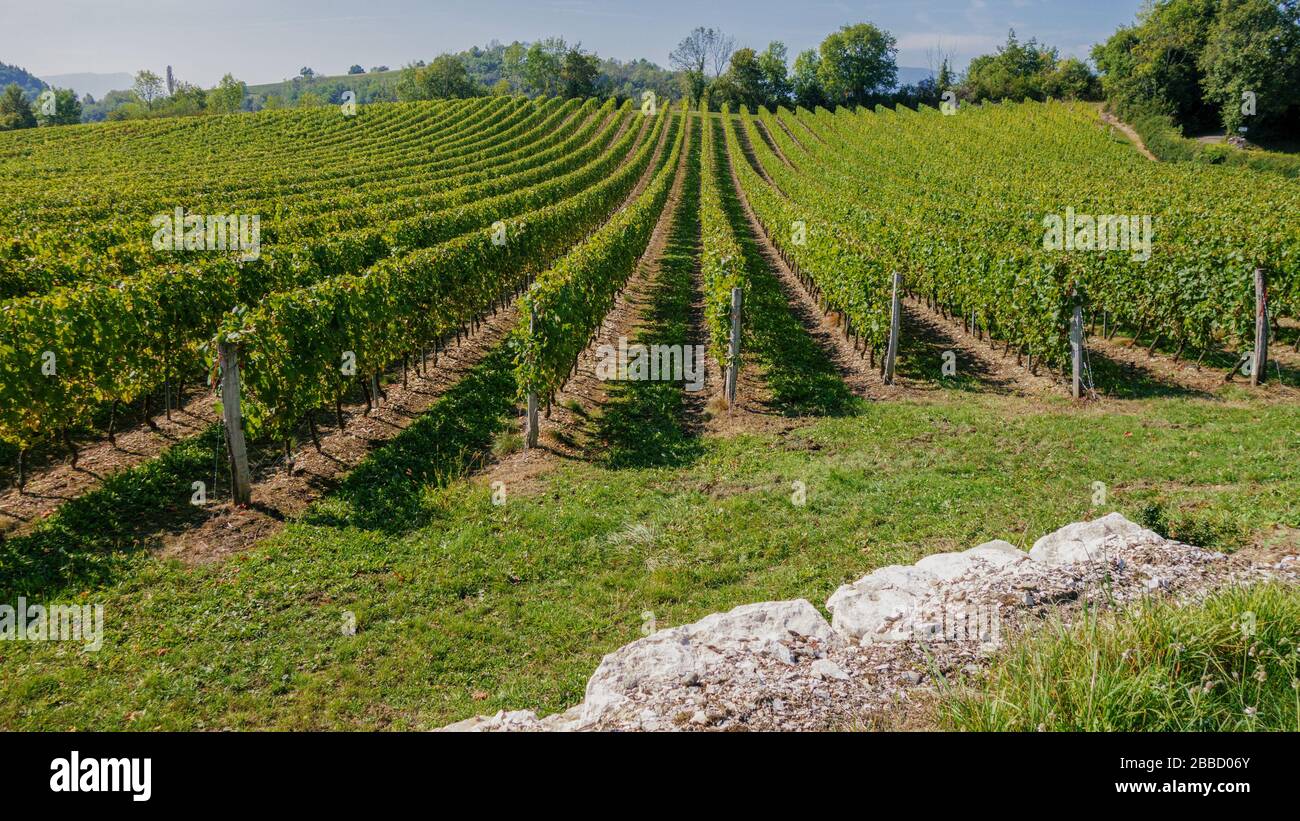 Le bugey hi-res stock photography and images - Alamy